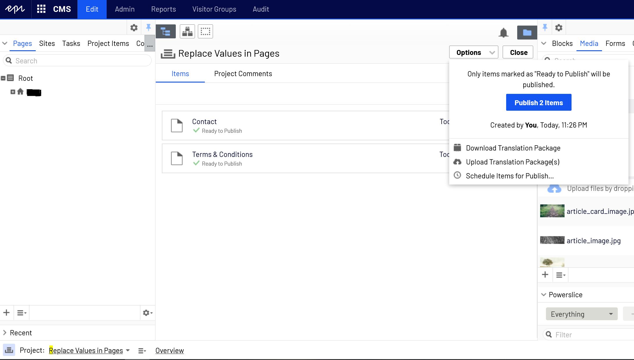 Handle Episerver Projects Programmatically - CDIS